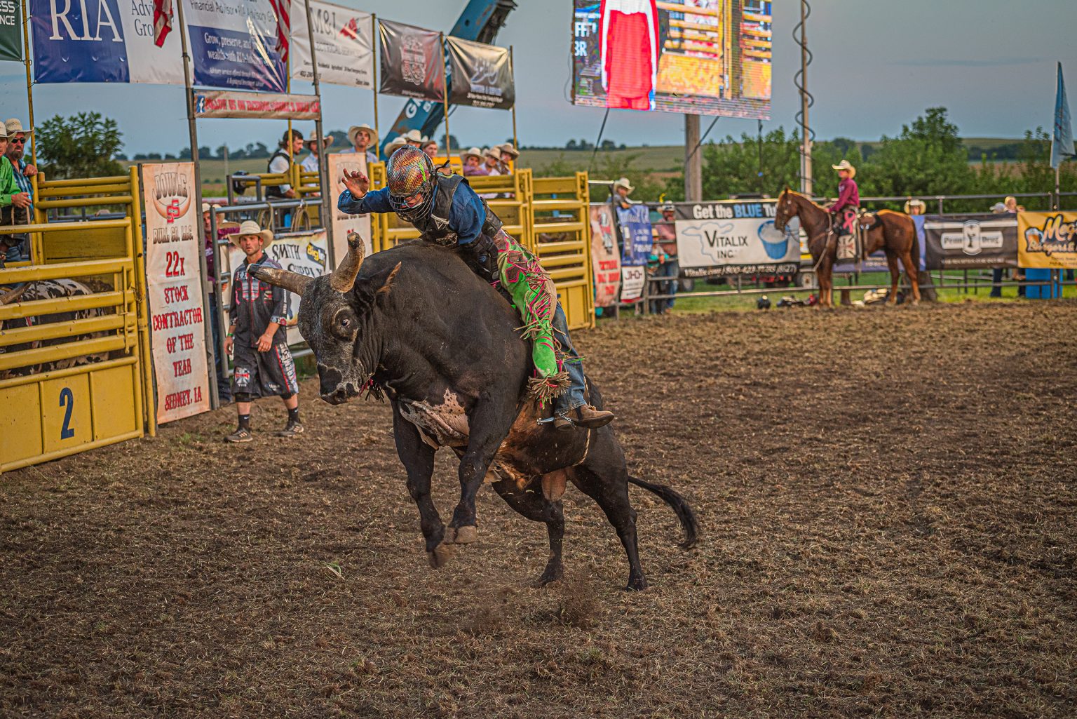Bull Riding - Battle with the Bulls | Battle with the Bulls